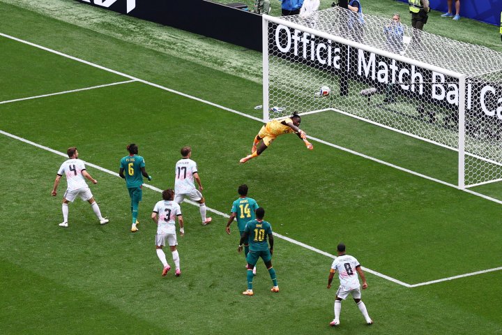 Bélgica - Senegal hoy, en directo: dieciseisavos de final del Mundial ...